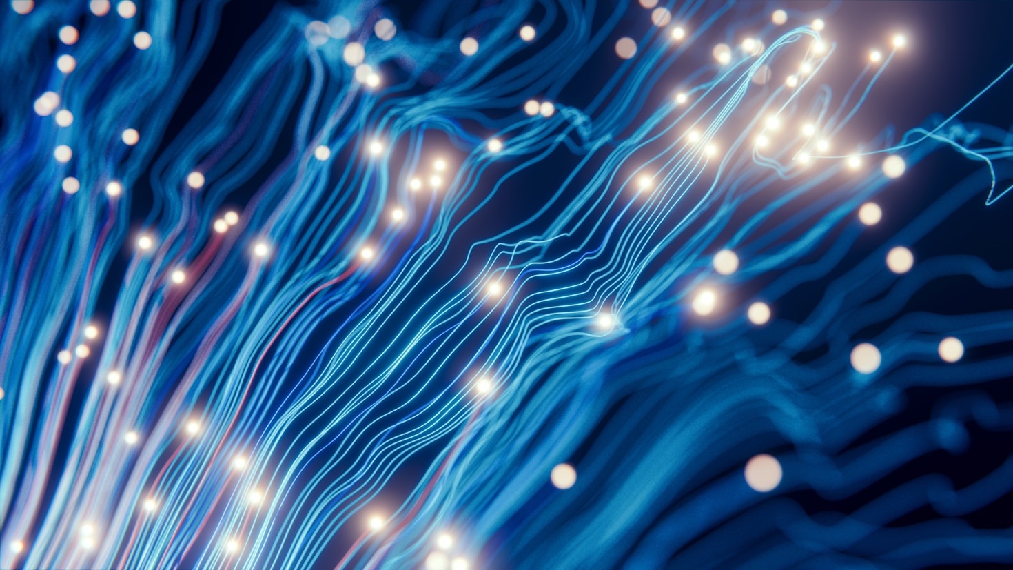 Trade Compliance Maturity Model - Trade Compliane RX